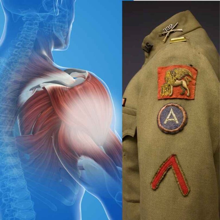 Spaces of the Shoulder: An Exploration of Boundaries and Structures ...